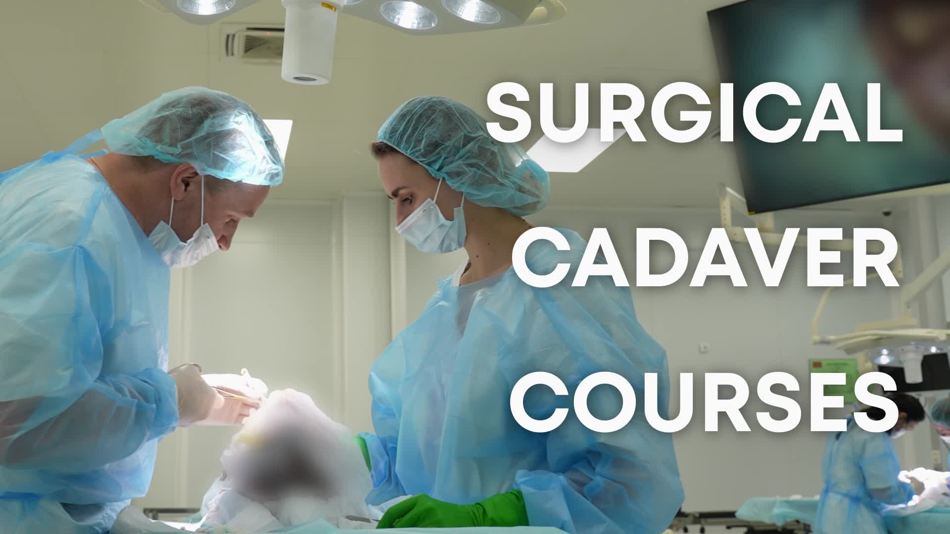 The Best in the World Plastic Surgery School by Dr. Ksenia Avdoshenko