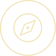 Cardex: Международный платежный сервис