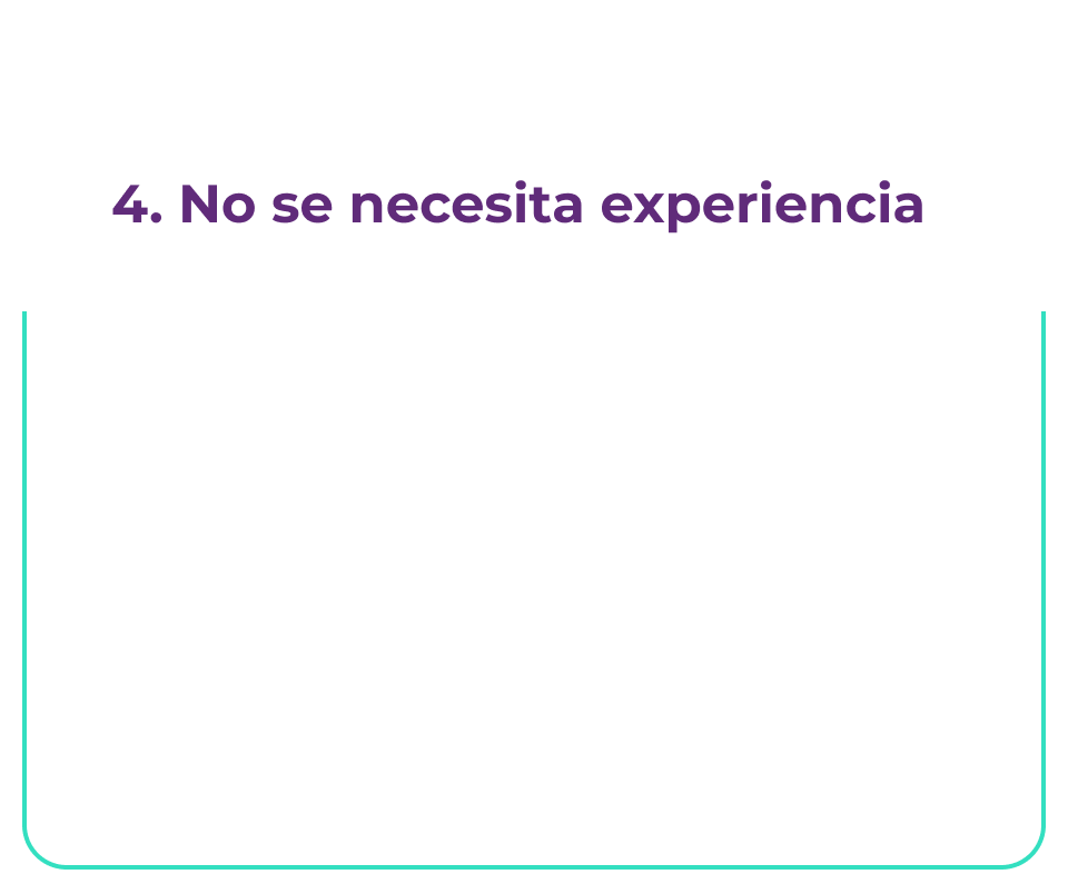 Algorithmics Internacional Escuela Programación