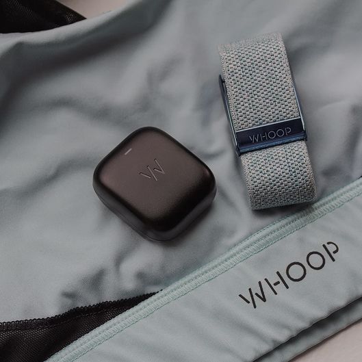 Каталог Whoop