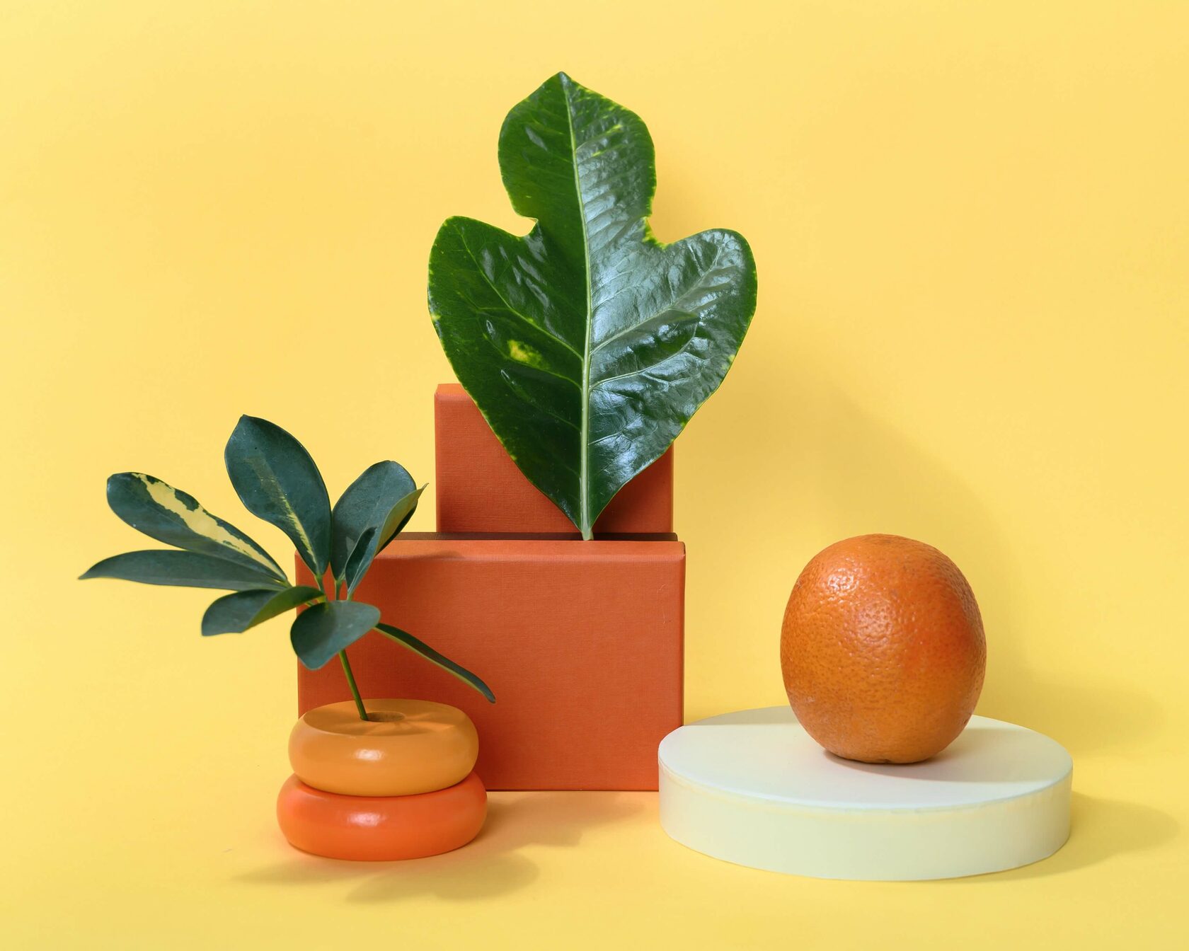 ОСТЕОМЕД ФОРТЕ - ОСТЕОПРОТЕКТОР НОВОГО ПОКОЛЕНИЯ