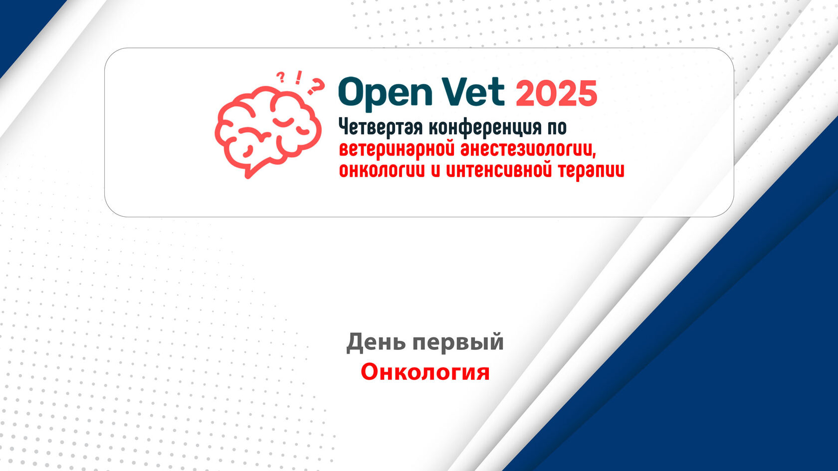 Open Vet 2025. Трансляция. День первый