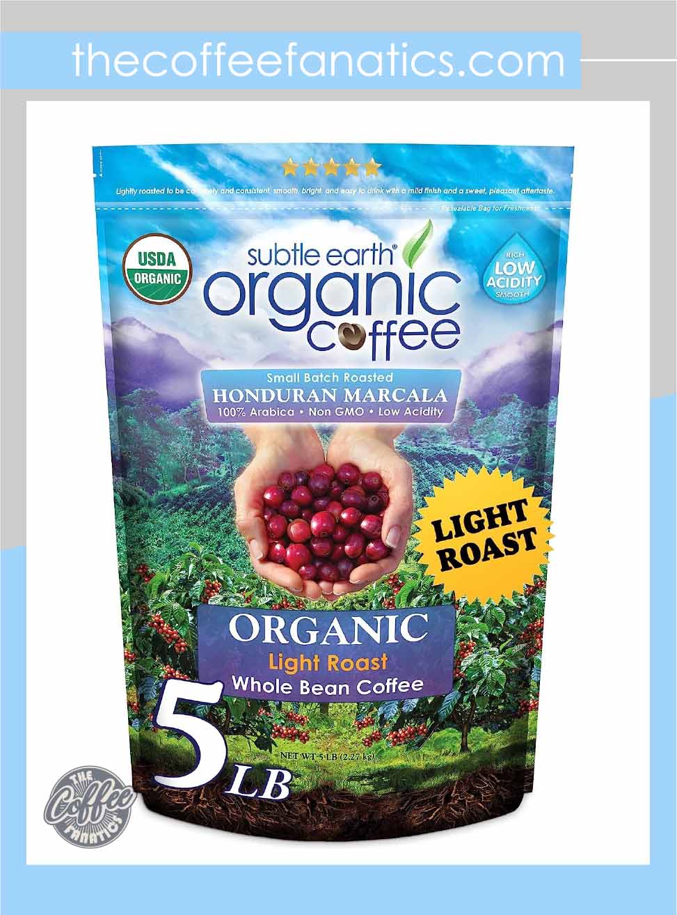 Best 21 Light Roast Coffee Beans For 2023 | Flavor Profiles and Brewing ...