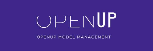 openUP Model Management