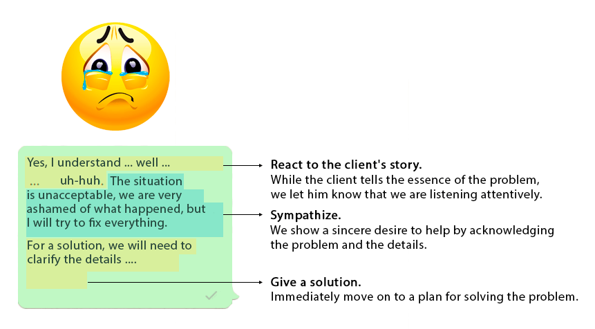 How to manage customer emotions: step-by-step instructions for IT ...