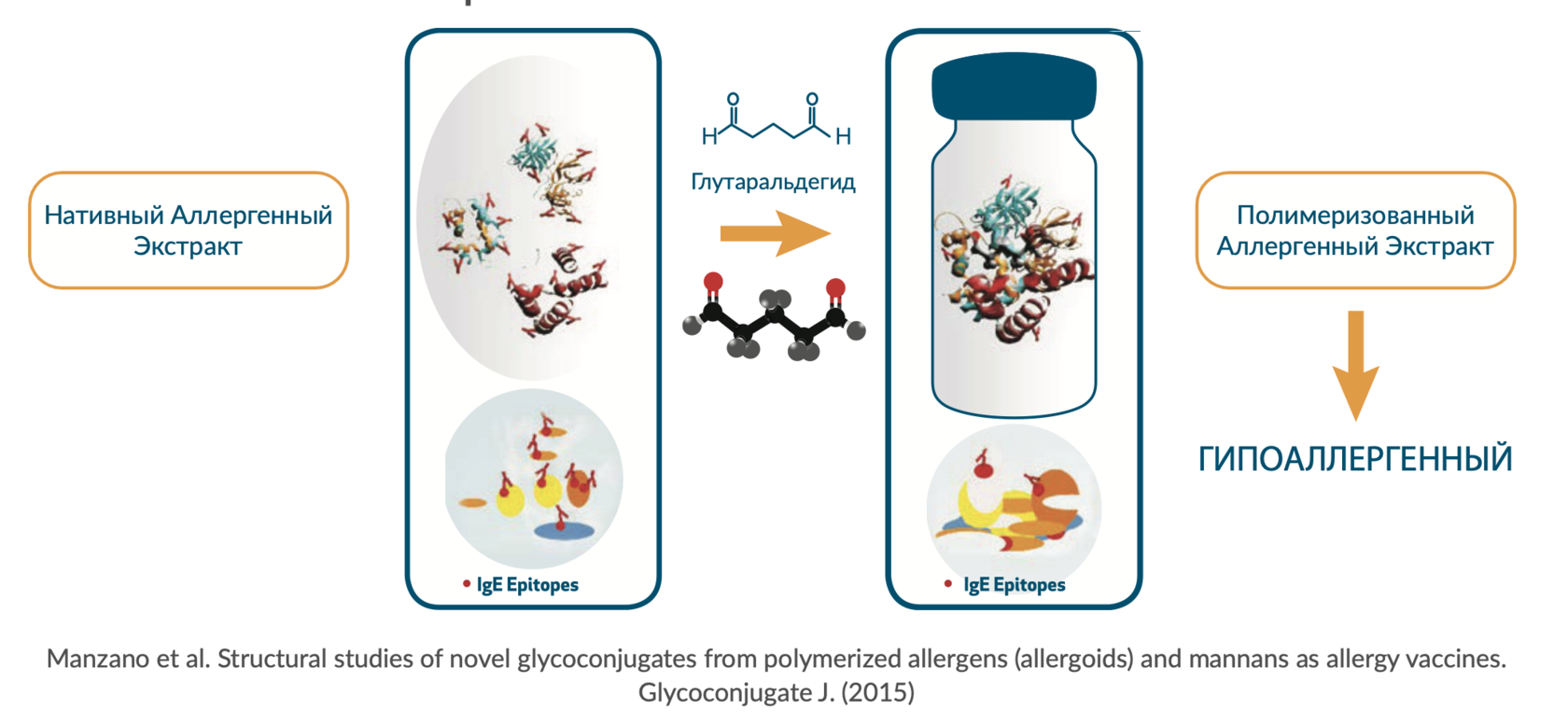 ALXOID Inmunotek в Ташкенте