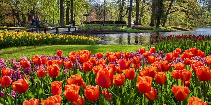Amsterdam In May [2024]: weather, things to do, travel tips
