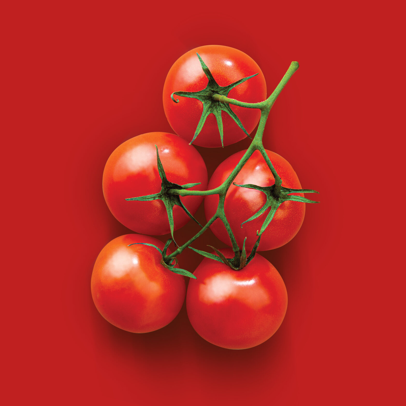 Мираторг Кулинария