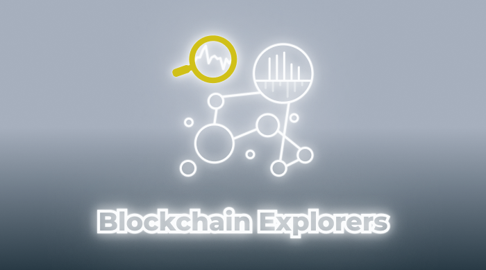 Blockchain Explorers