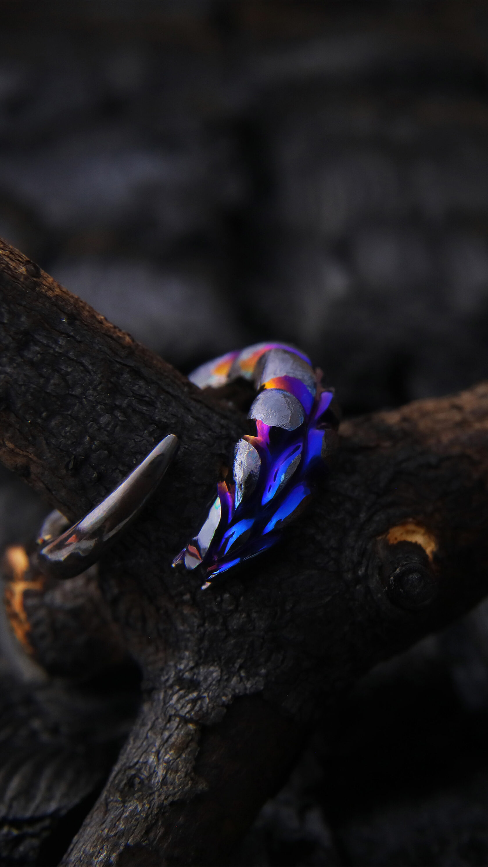 Waiu | Главная