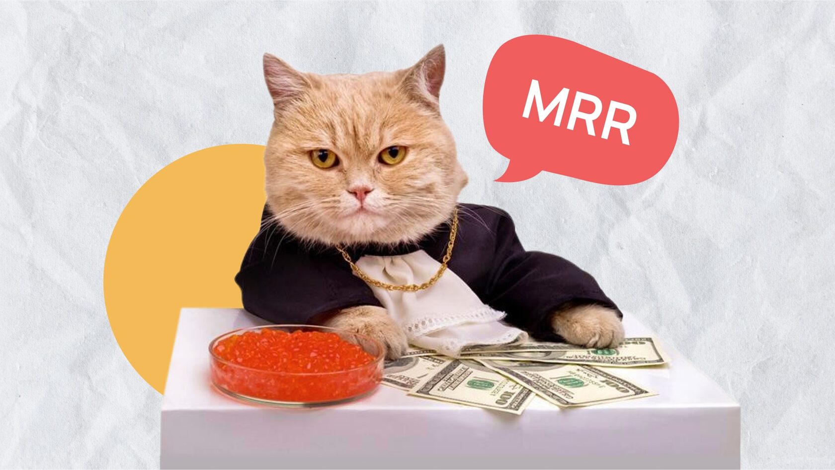 Что такое MRR-метрика (Monthly Recurring Revenue) и как ее рассчитать?