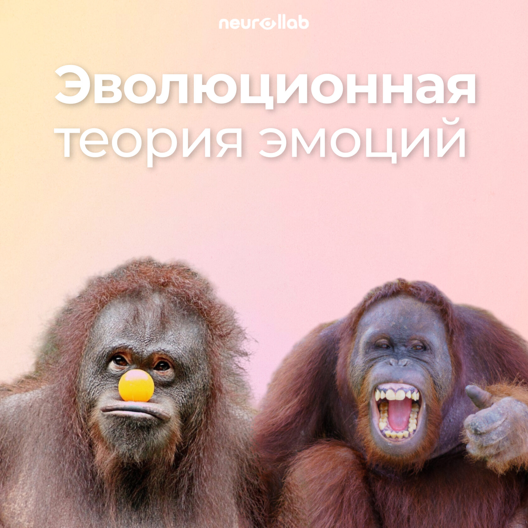 Эволюционная теория эмоций
