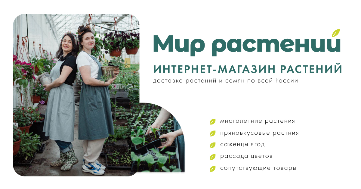 Рассада цветов