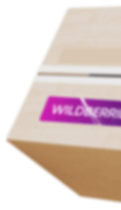 Обучающий онлайн курс по Wildberries от экспертов маркетплейса