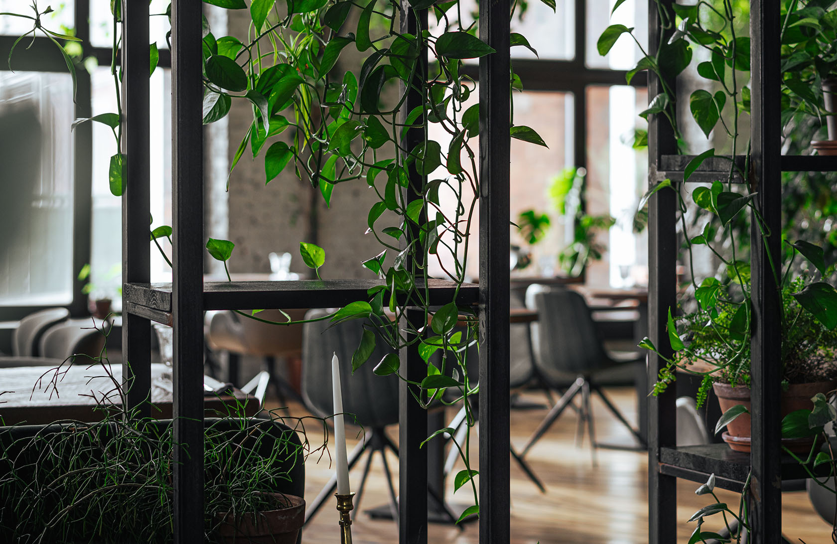 Grebeshki на Виленском, 15