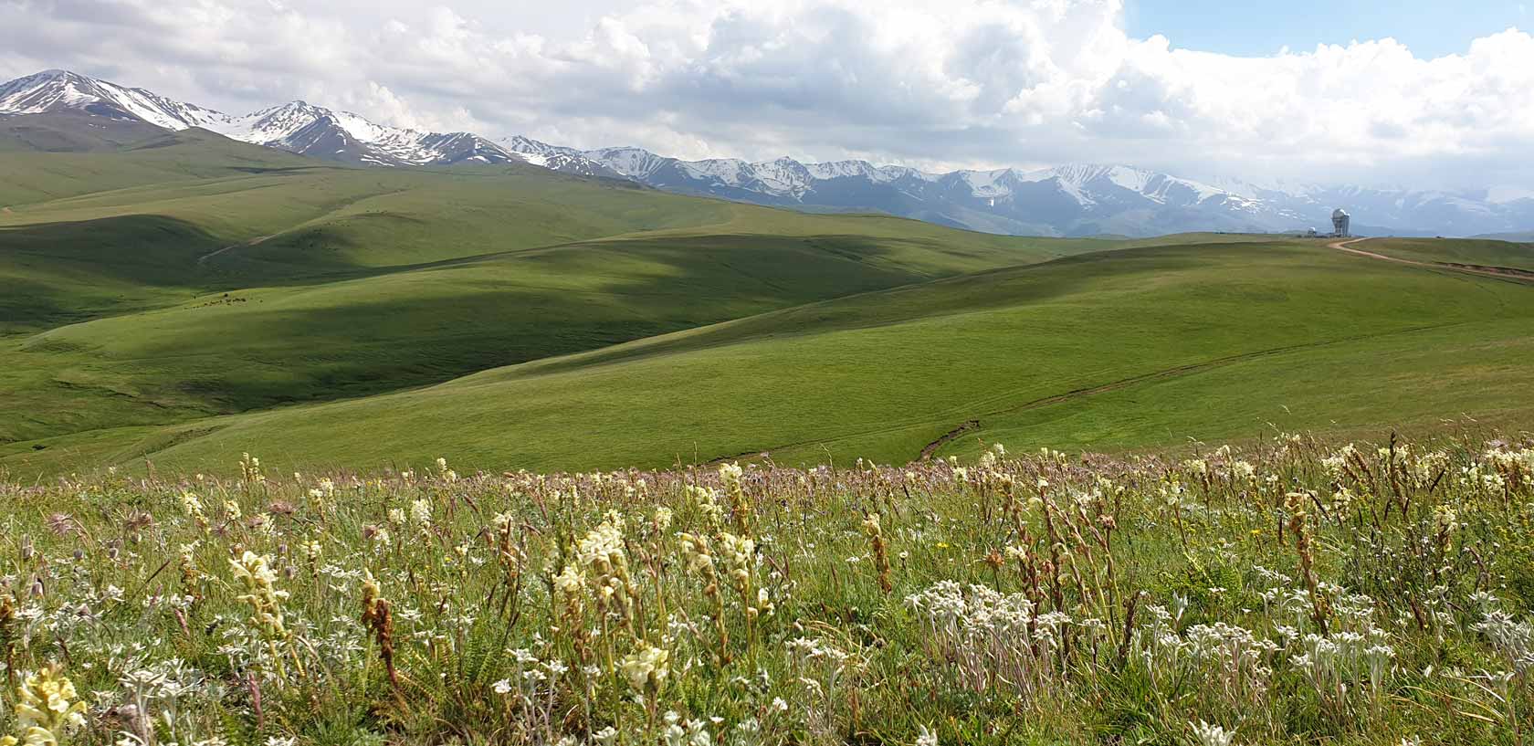 Assy Plateau and Issyk lake day tour - SUVTOURS