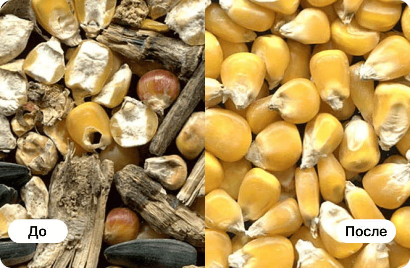 Фотосепаратор SmartSort C3