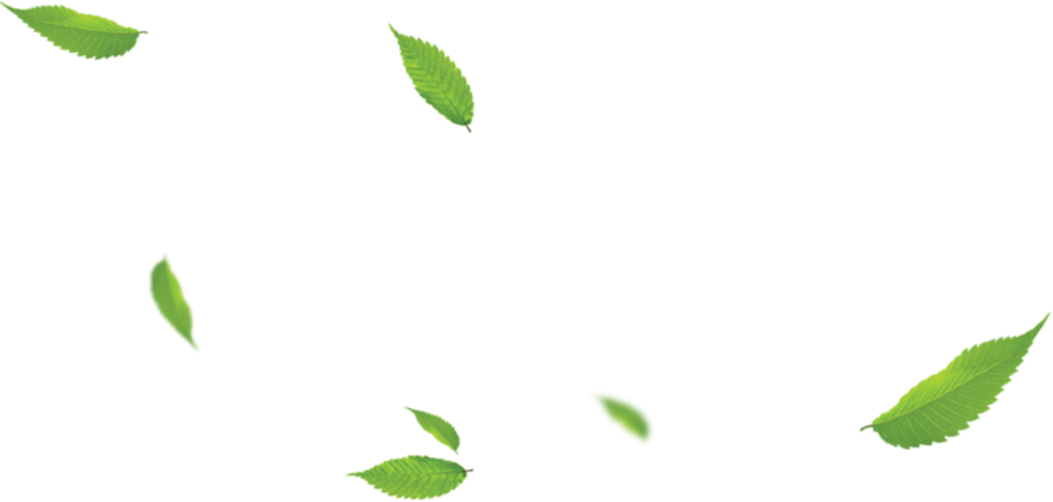 Premium вытяжки для маникюра и педикюра