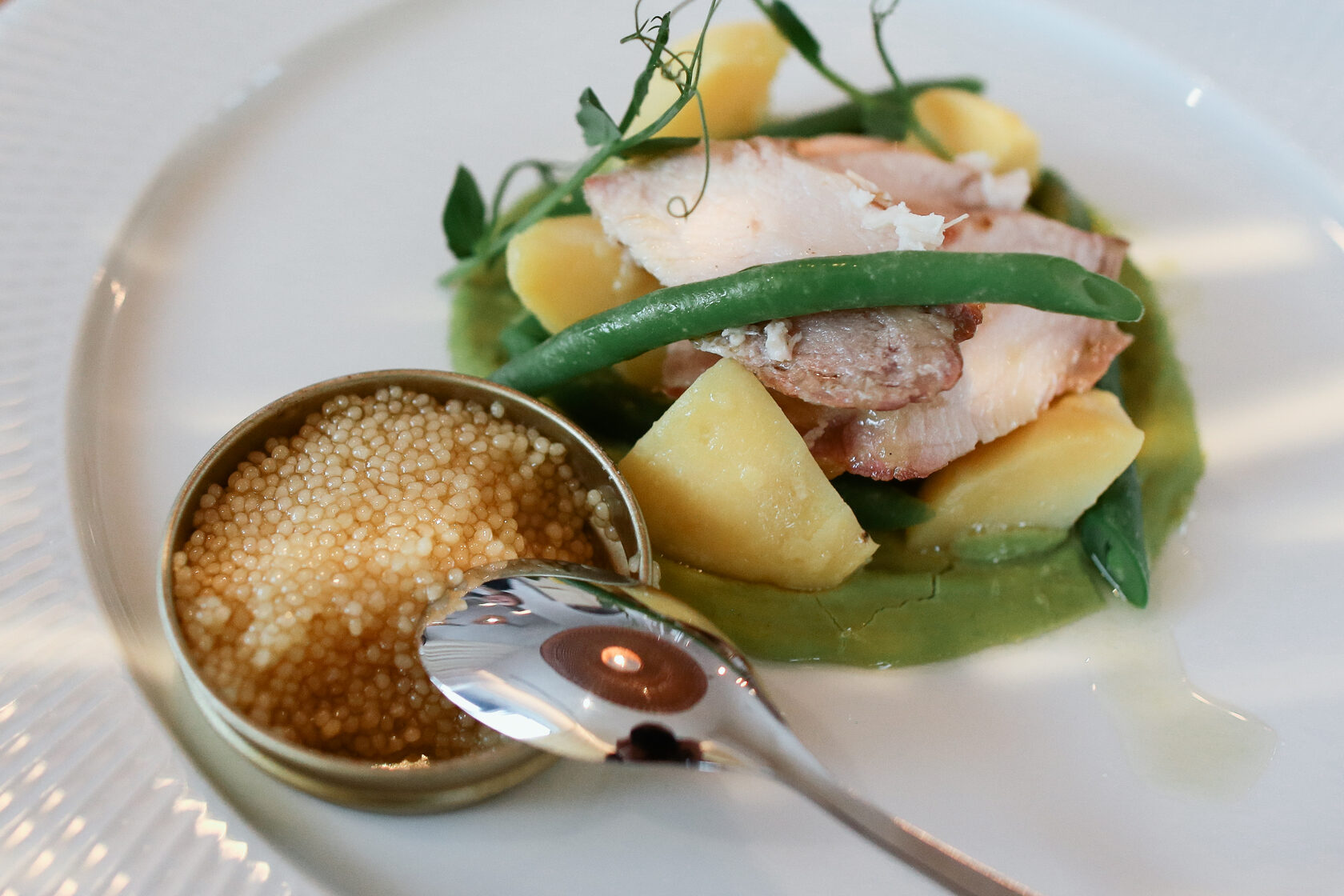 Albino sturgeon caviar