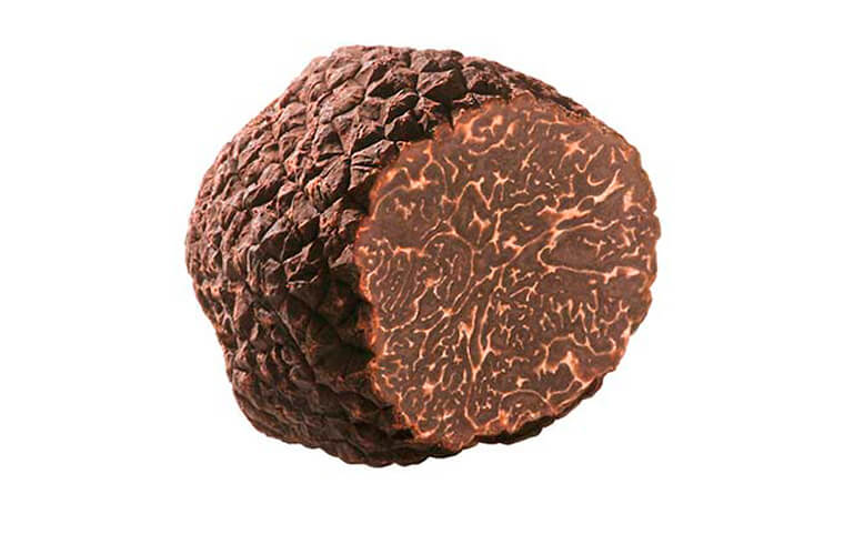 Трюфель: всё про дорогой деликатесный гриб - где растёт, цена, как едят