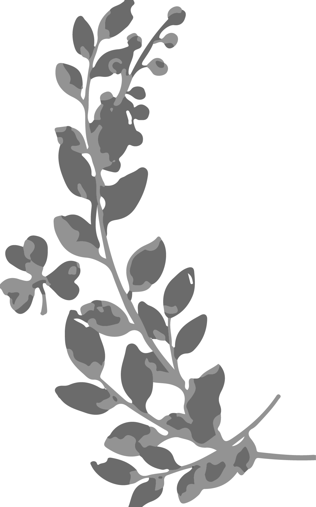 Subbotina Decor
