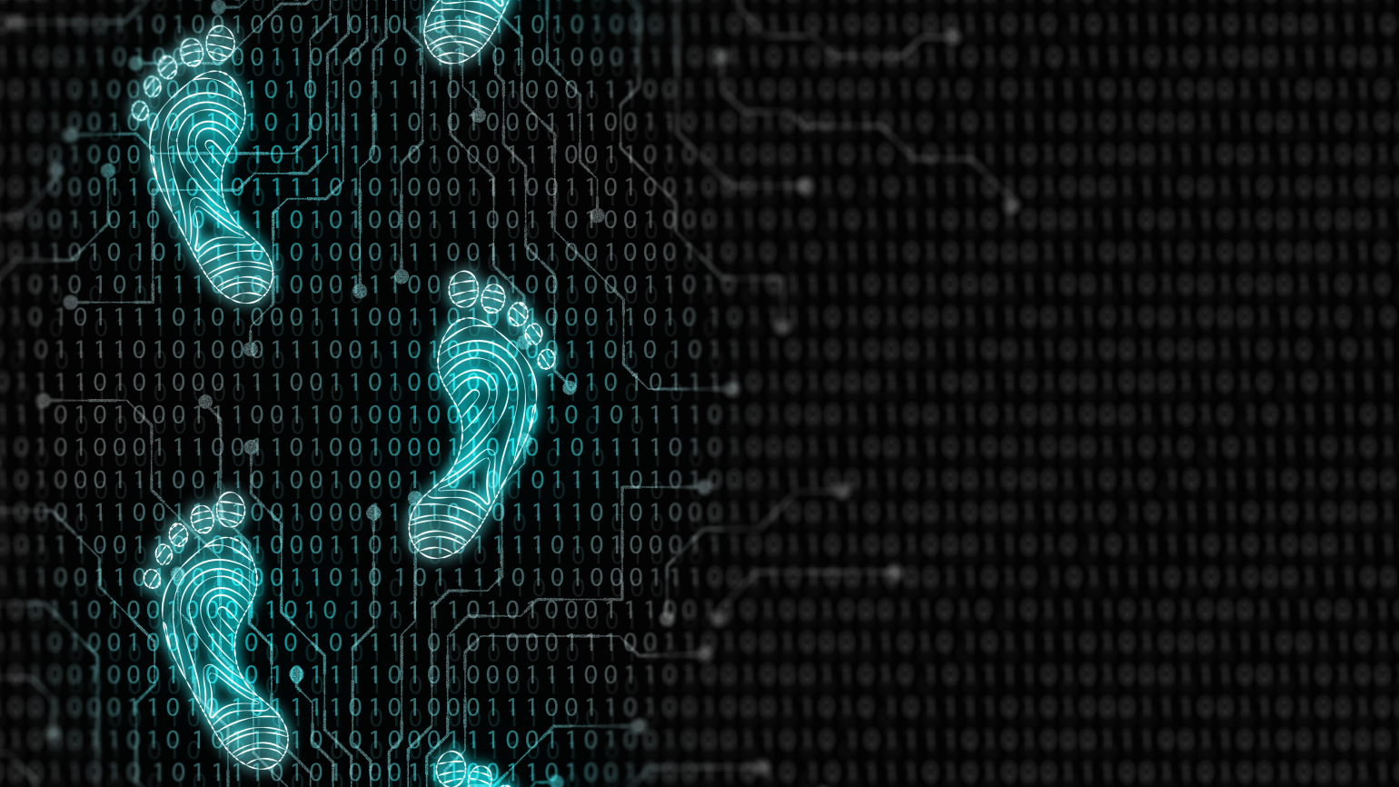 Тест: что такое цифровой след и можно ли защитить свои персональные данные / Skillbox Media