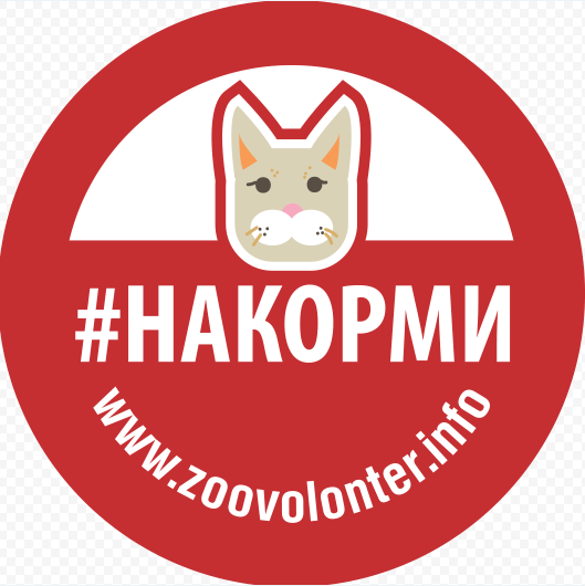 Помощь проекту Накорми - сбор корма для бездомных животных