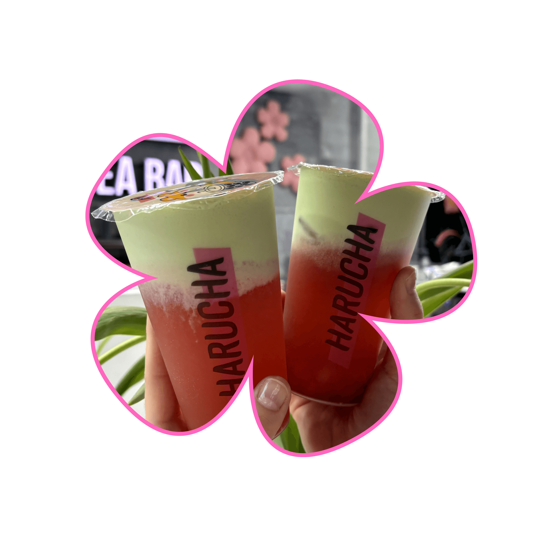 HARUCHA | bubble tea bar