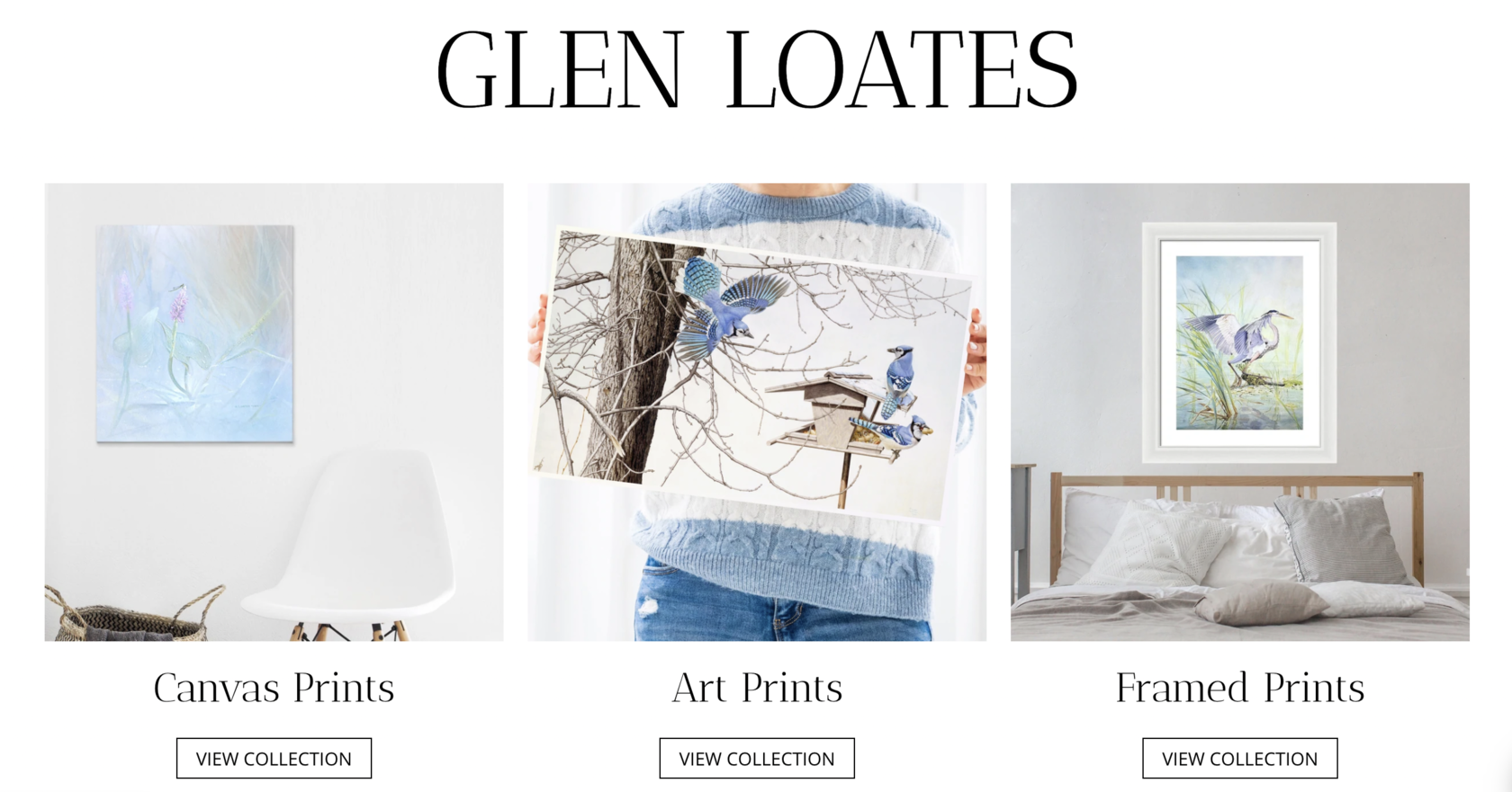 Glen Loates Case Study: Boosting User Experience on a Website