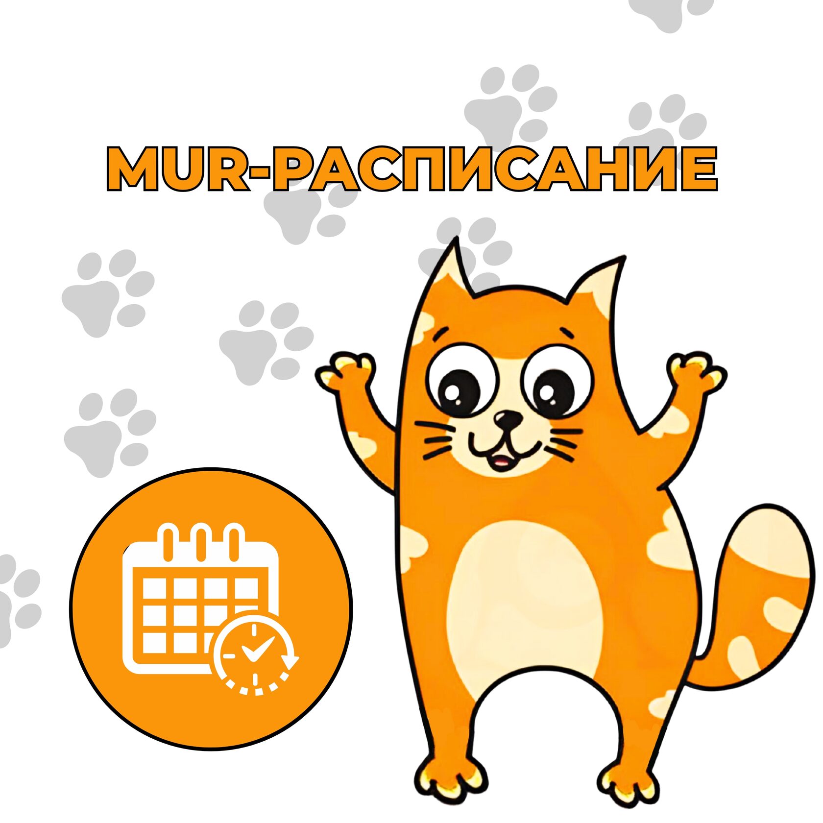 Расписание Mur Travel