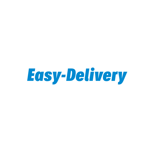 EASY-DELIVERY - сервис доставки - Срочная доставка для бизнеса