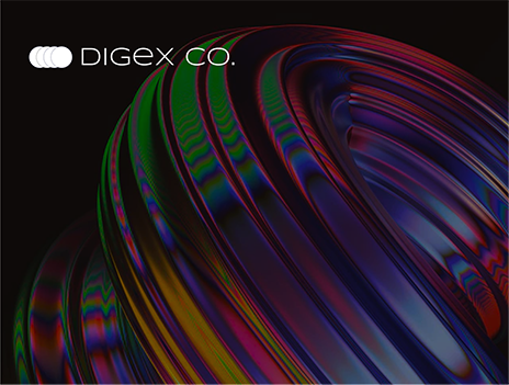 Staff Augmentation | Digex Co.