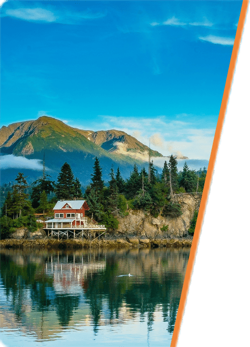 FoxCarriers | Your reliable logistics partner