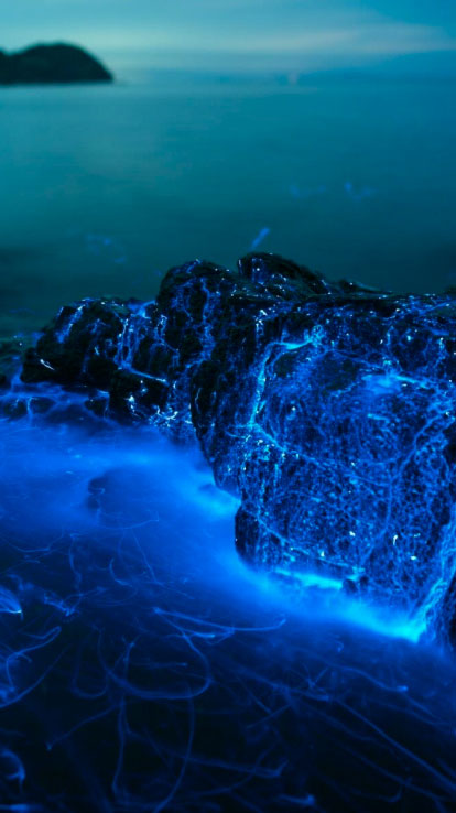 Ahiva Village, Fulhadhoo island, Maldives | Official Hotel Website