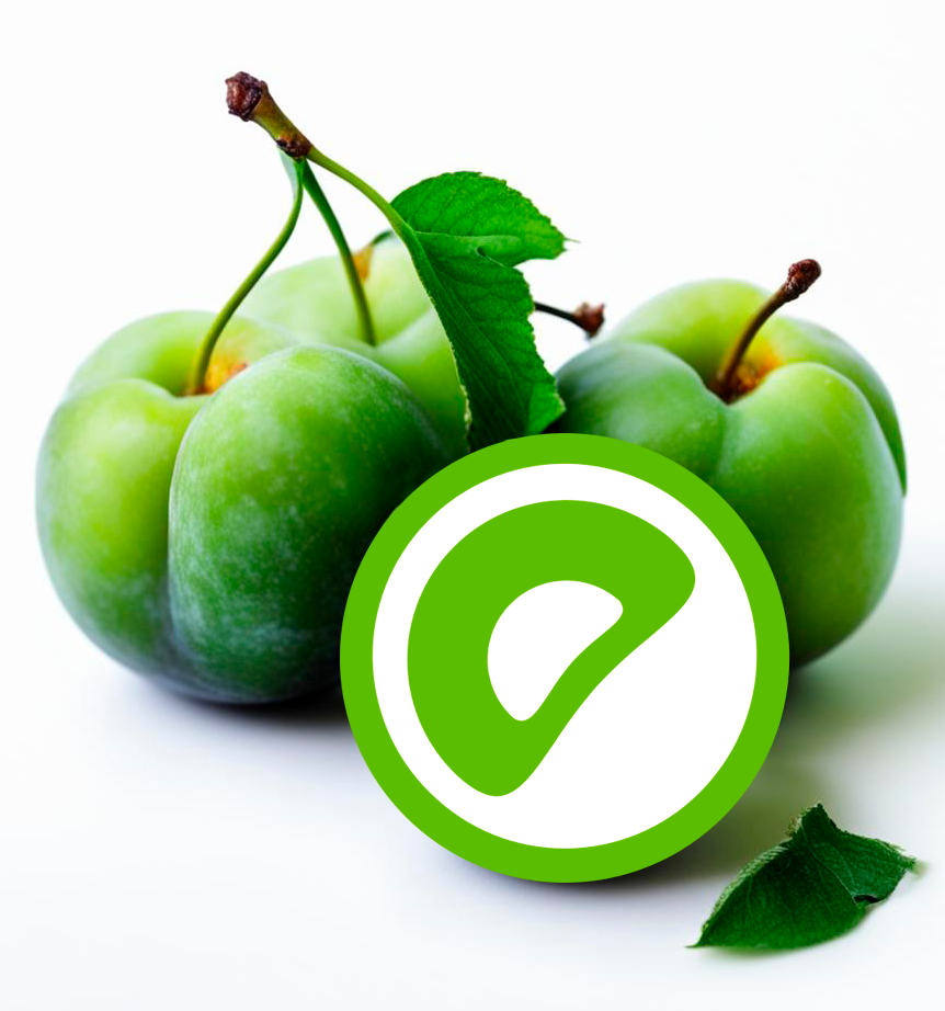 Что такое СУБД Greenplum? Задачи и особенности MPP-СУБД Greenplum