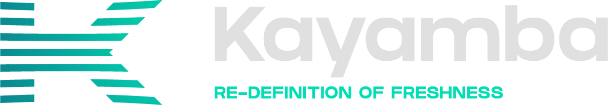 3D Printing Service | Kayamba