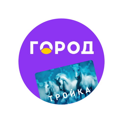 iikoConnector для troika-gorod.ru