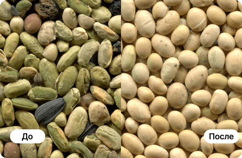 Фотосепаратор SmartSort C3