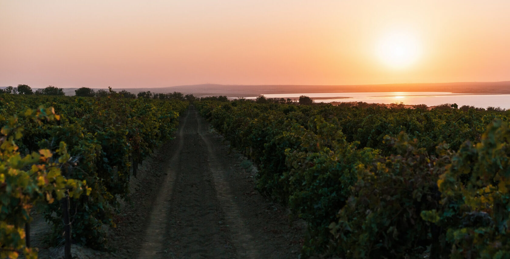 Винодельни России