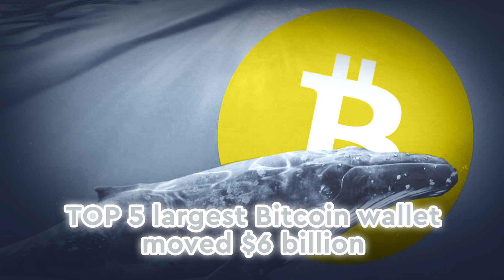 TOP 5 largest Bitcoin wallet moved $6 billion