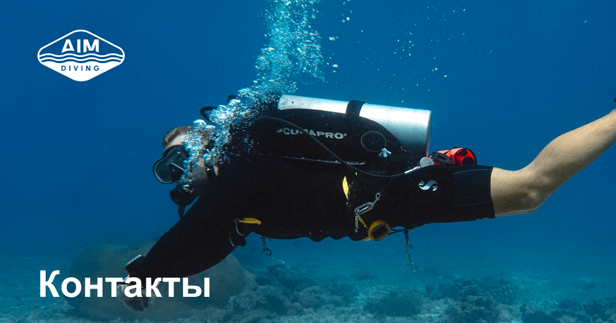 AIM Diving — Контакты