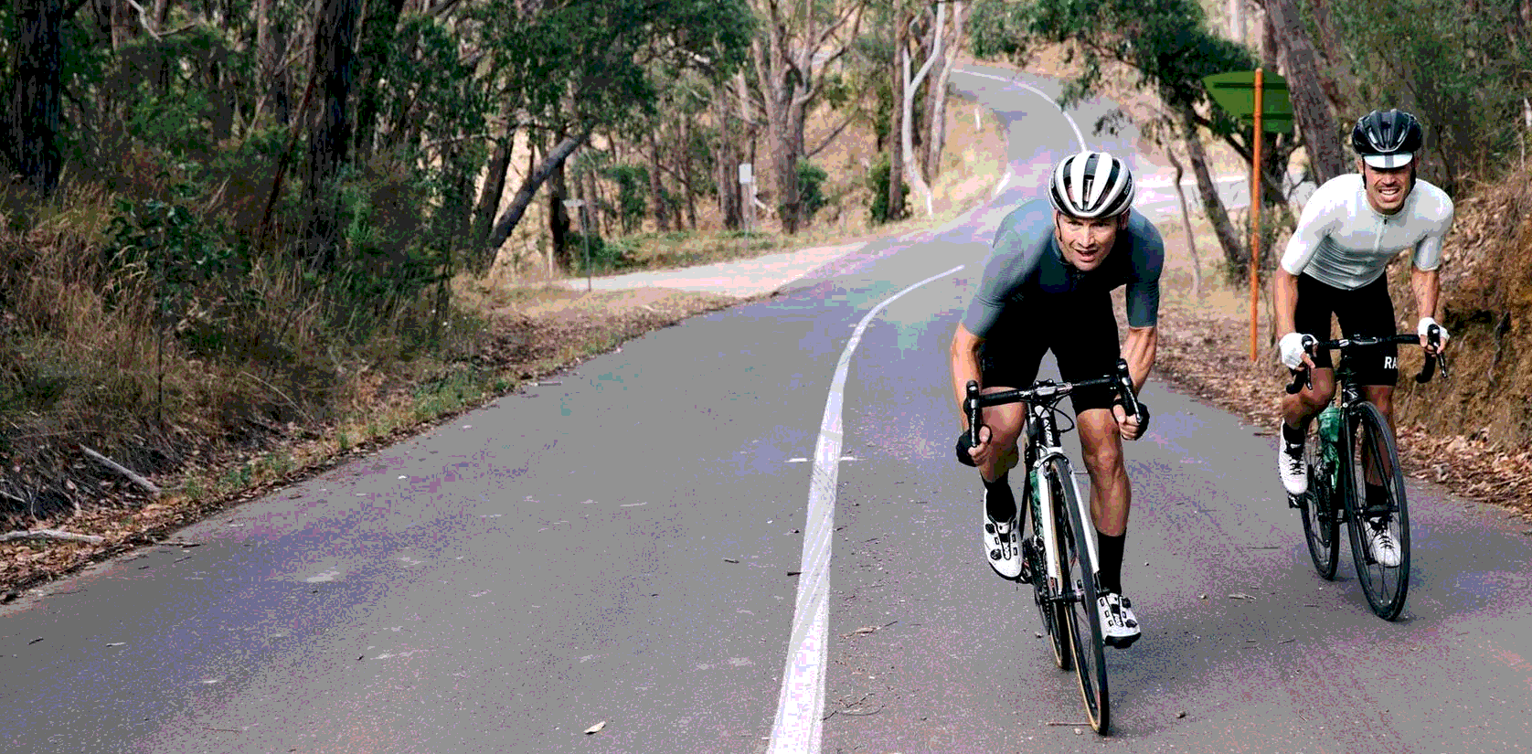 Заказ товаров с TradeINN через Primal — удобно и выгодно