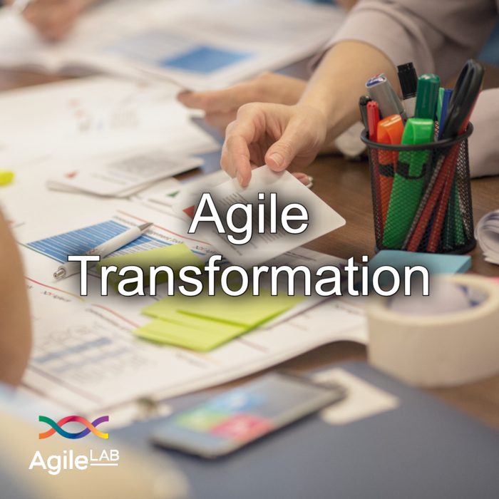 Scaled Agile Framework Safe® Implementation Agilelab