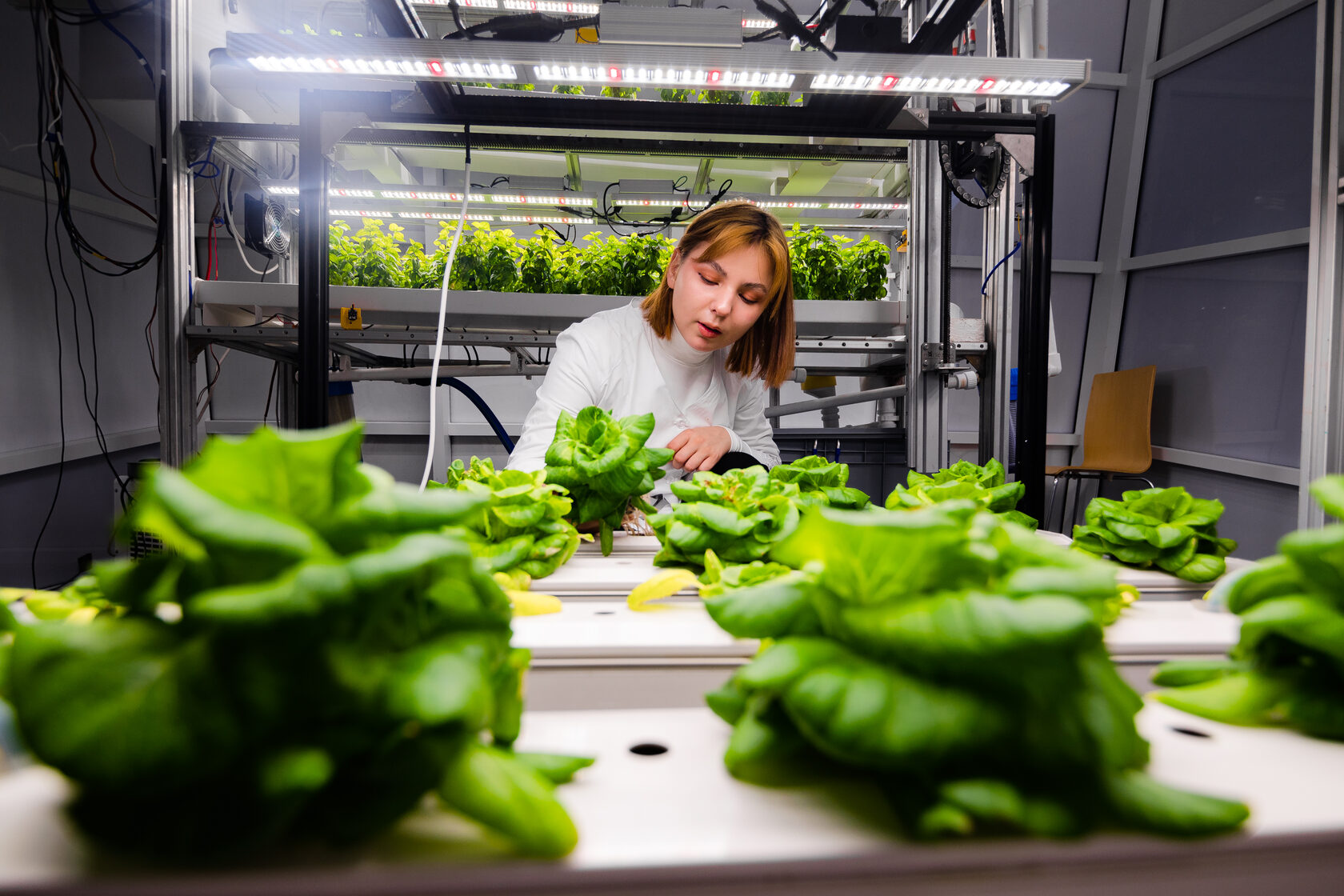 Дальневосточный федеральный университет (eng)