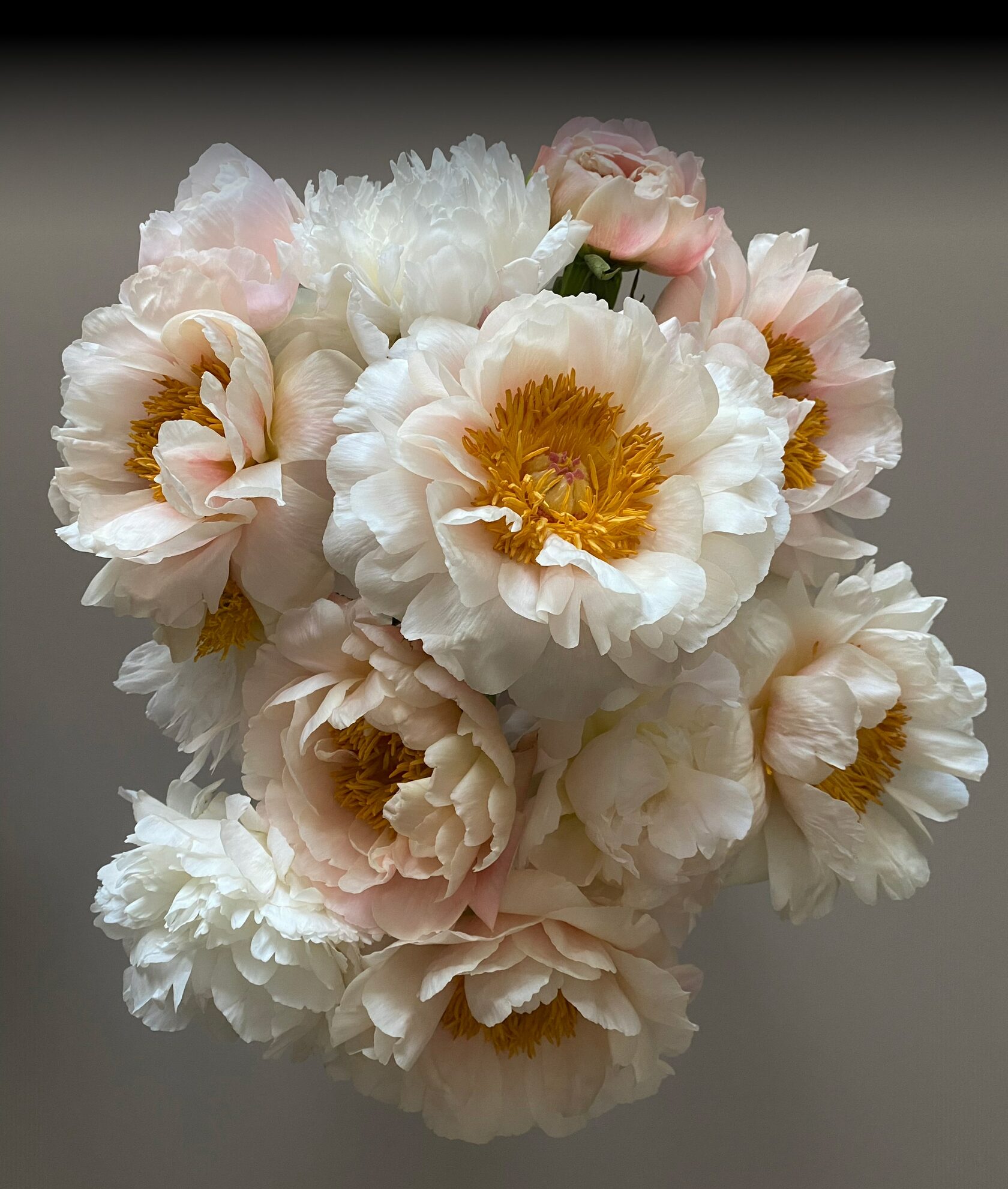 О компании Flover