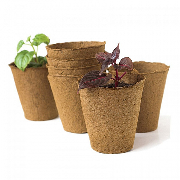 Горшки и Кашпо | Интернет магазин Green Space