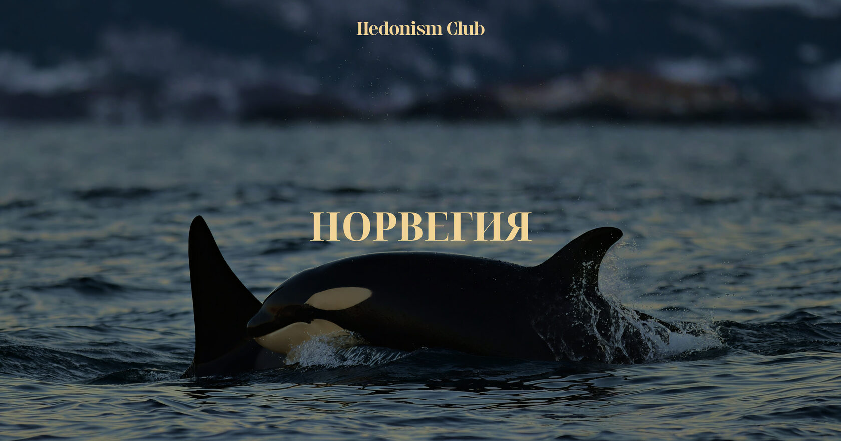 Авторское путешествие в Норвегию с Hedonism Club!