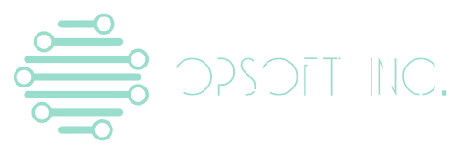 Software development company