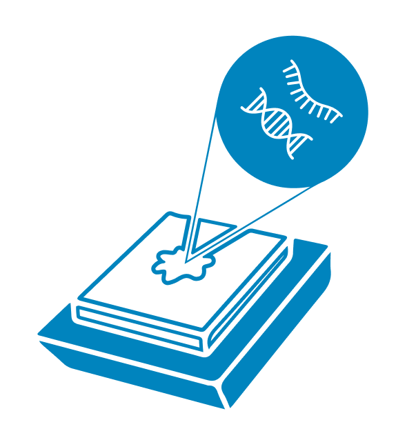 Parseq Lab - Онкология