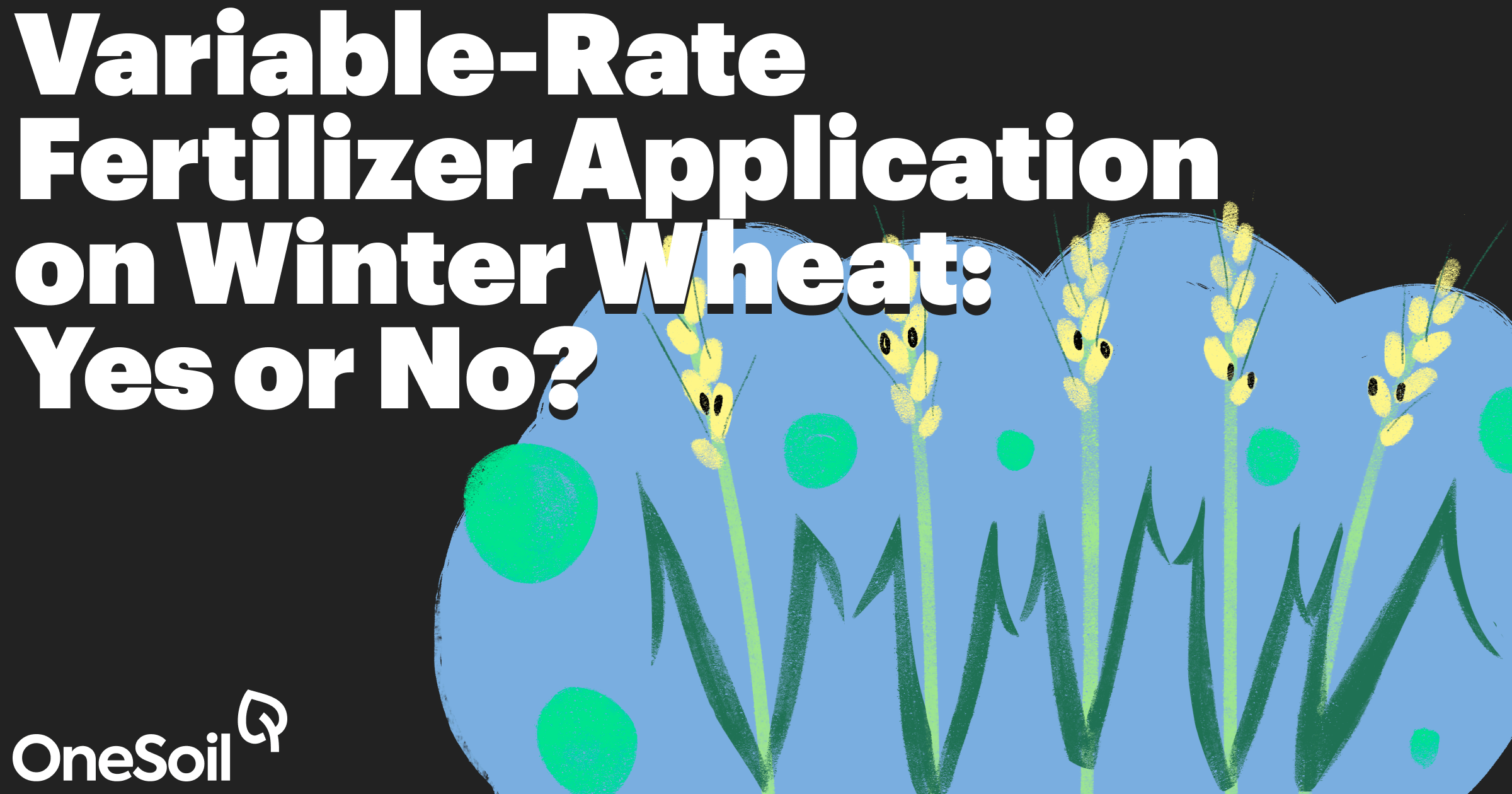 How To Conduct The Variable Rate Fertilizer Application Experiment